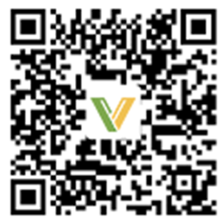 VLINKER-Enabling a Better Life for Young People