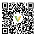 VLINKER-Enabling a Better Life for Young People