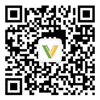 VLINKER-Enabling a Better Life for Young People